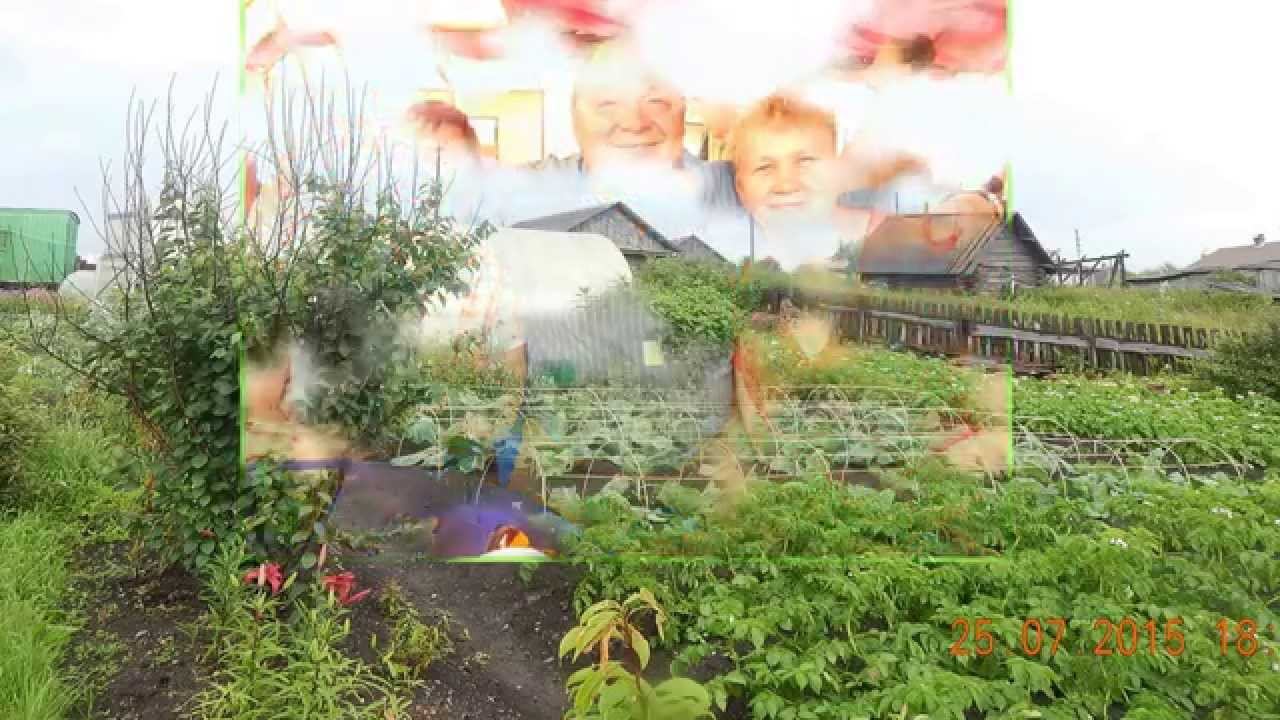 300 лет Висиму