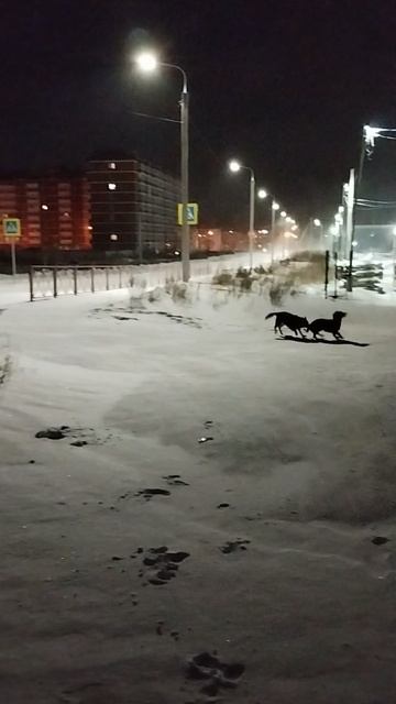 Танцы с тенями: битва под завывание вьюги