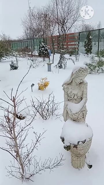 Крым, февраль, снег #Shorts