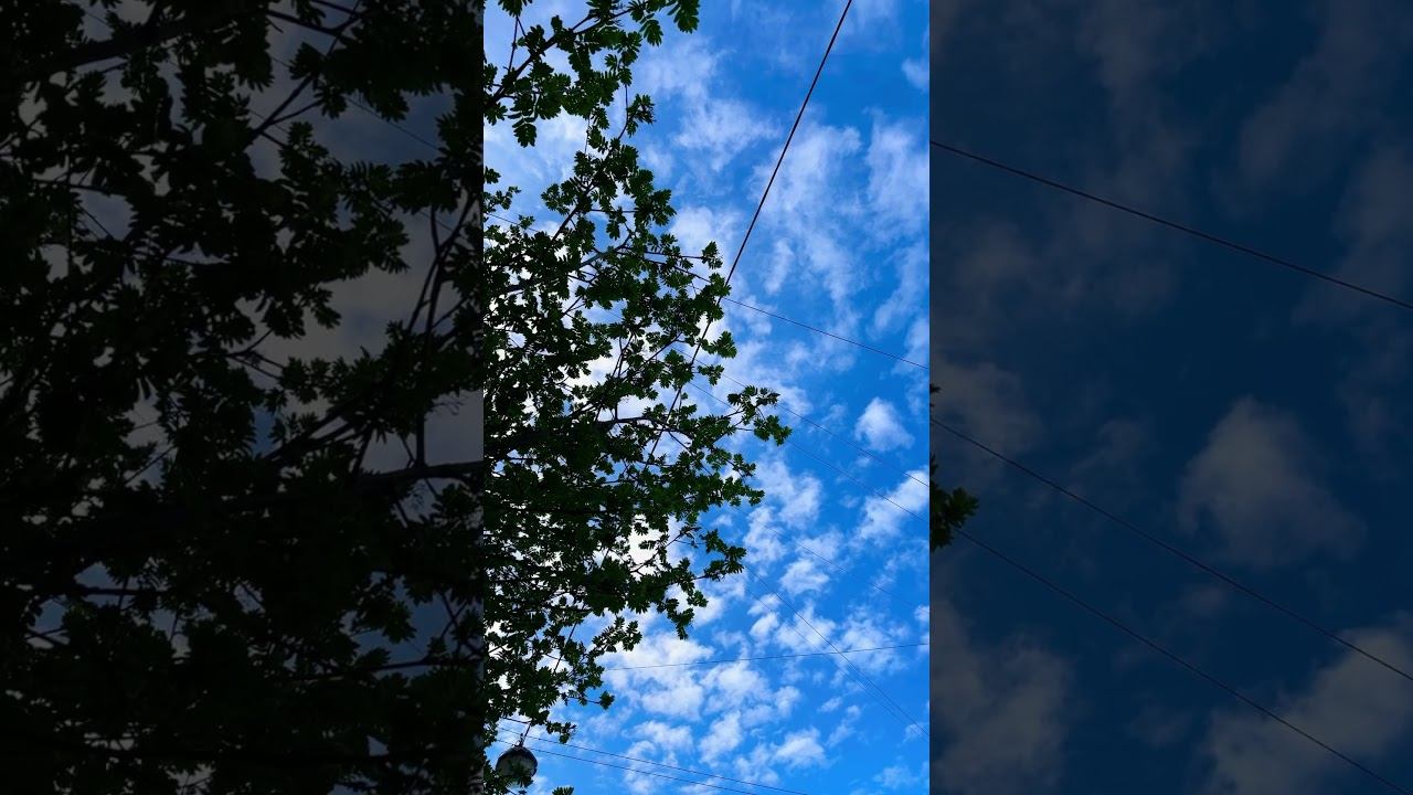 Ты спустилась словно свет, обрести простой ответ