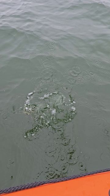 Будь добр 😉👍💪