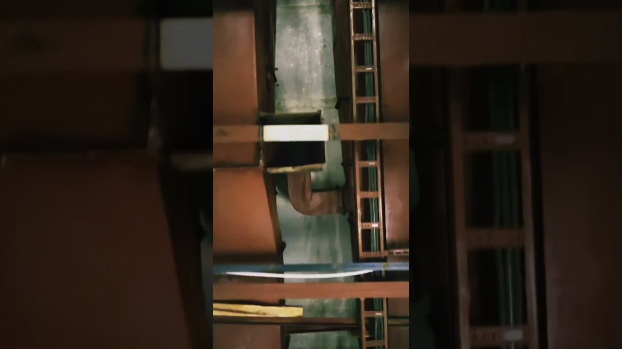 Потолочная прогулка