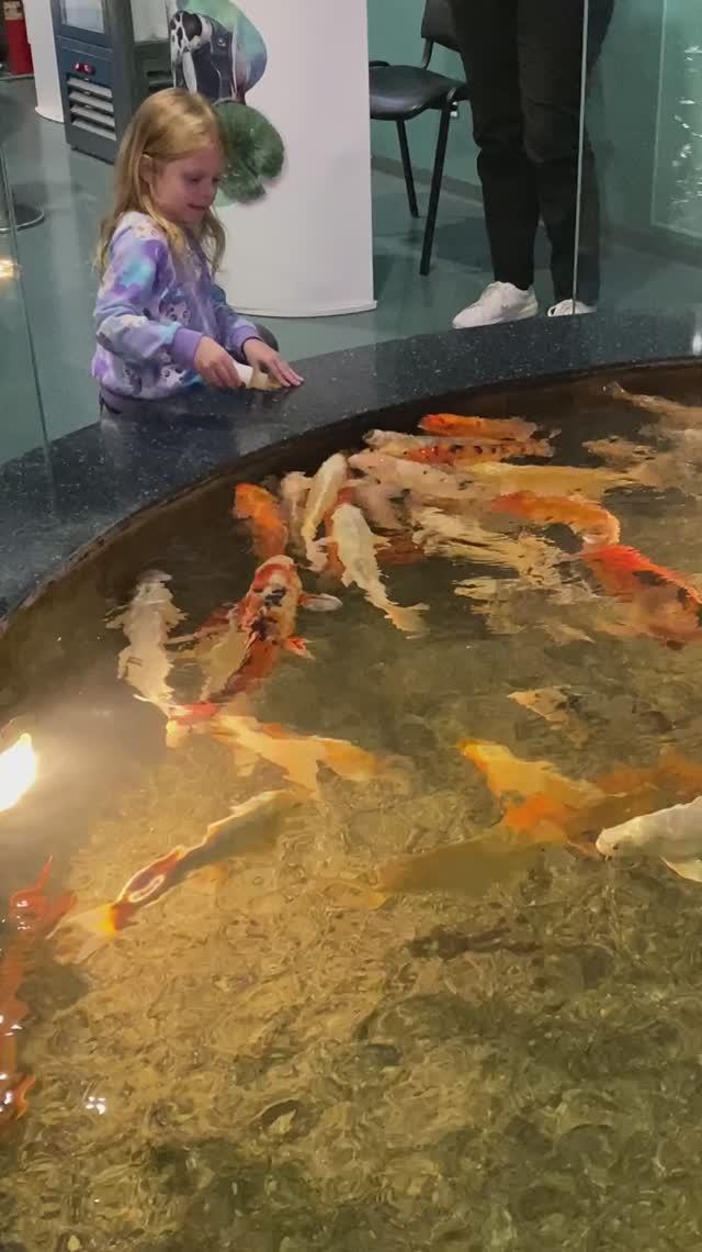 Москвариум,кормление рыб