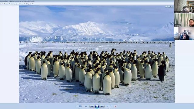 Антарктида1