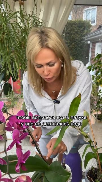 Как заставить орхидею цвести? Показываю самый естественный способ