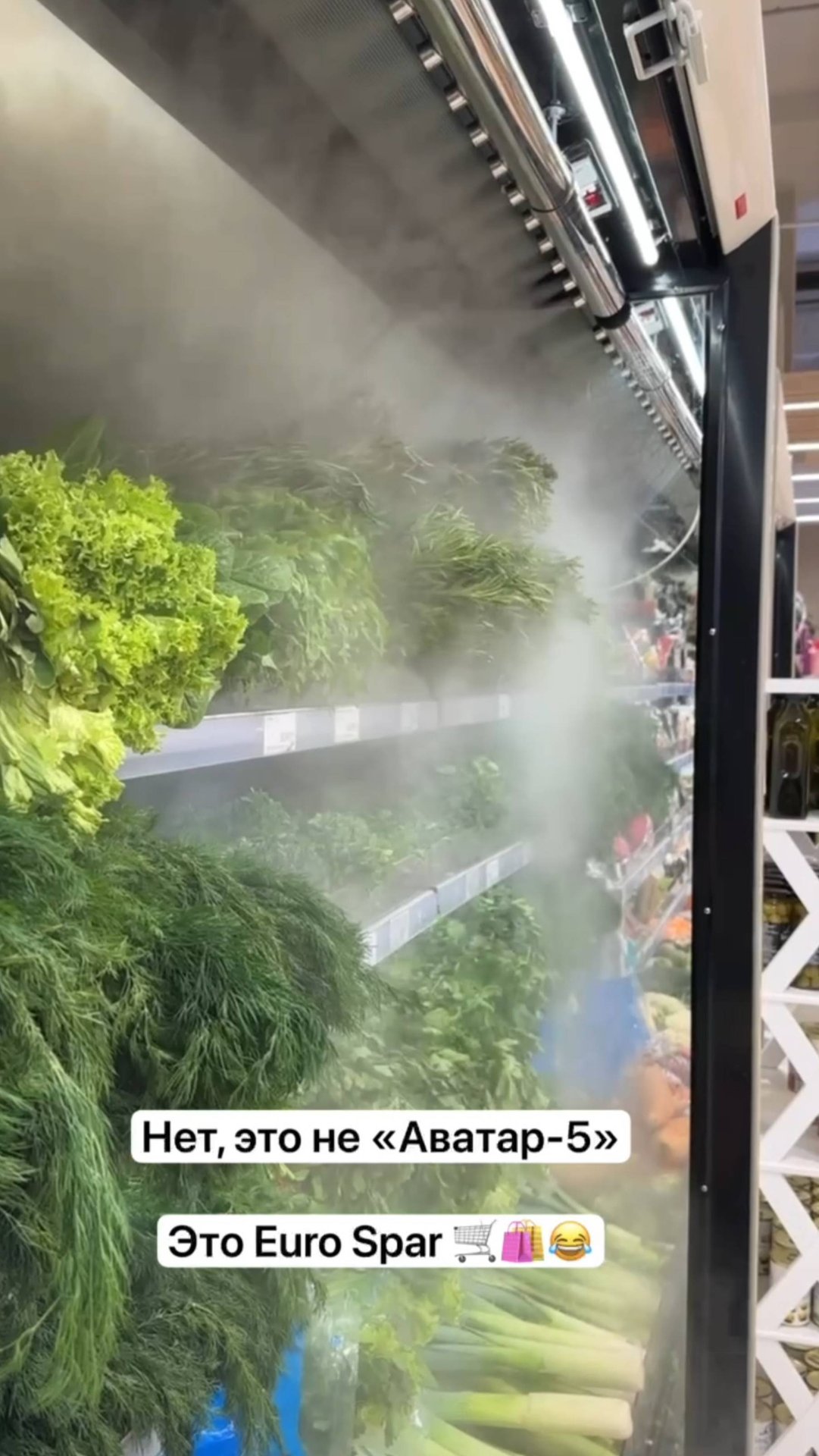 "Аватар 5": проба с первого дубля ))