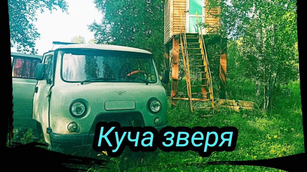 Куча коз, чудо зверь)) Сезон 2021 серия 4.