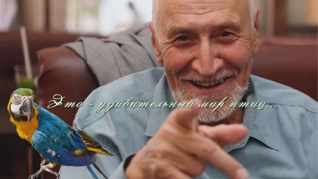 Знакомим детей с удивительным миром птиц