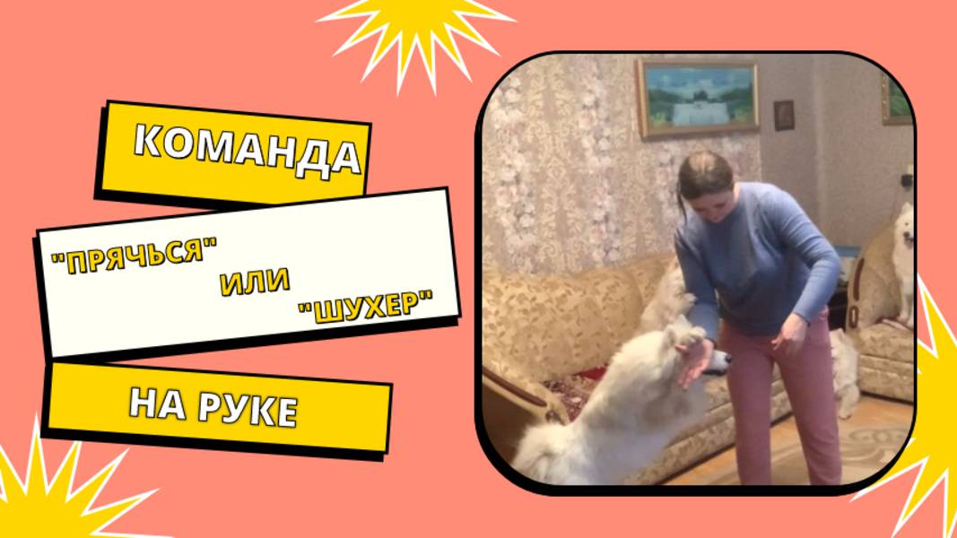 Команда "Прячься" или "Шухер" на руке