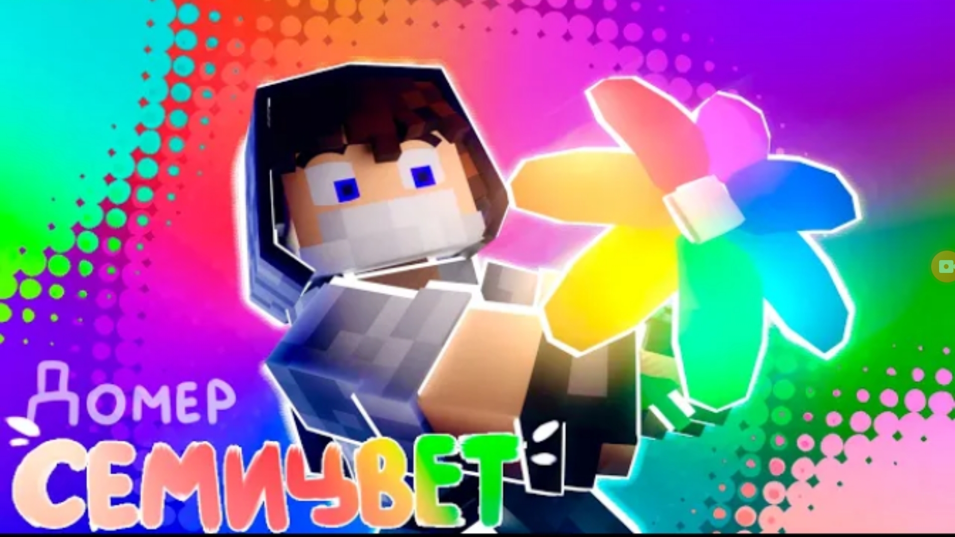 Домер семицвет