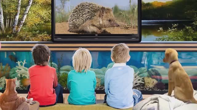 Экзотический мир животных