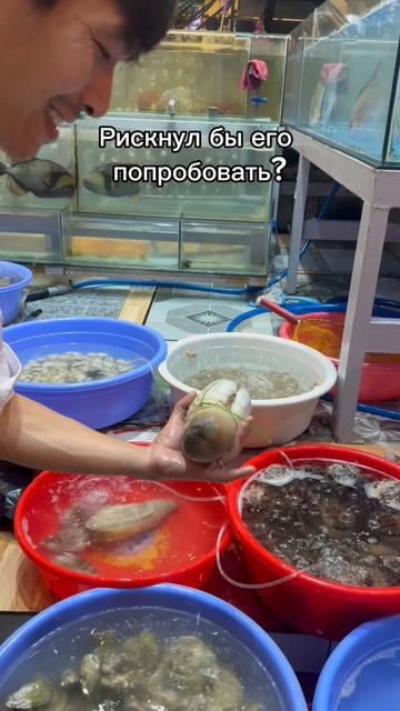 А ты слышал о таком моллюске как Гуидак?

#путешествия #вьетнам #морепродукты #ночнойрынок #туризм