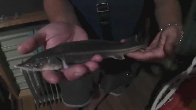 Рыбалка и Ночная подводная охота на разных глубинах.