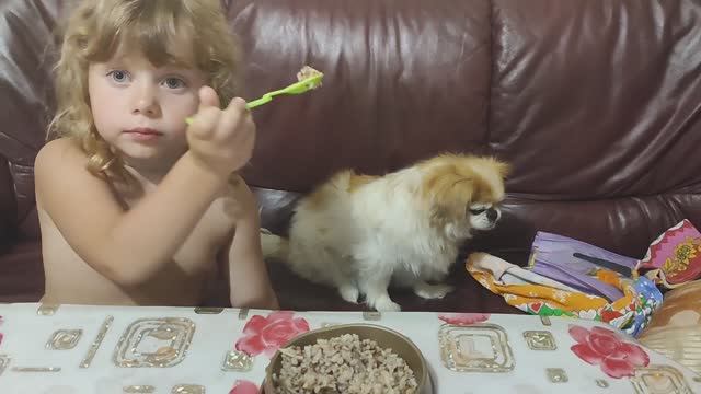 Человек собаке друг