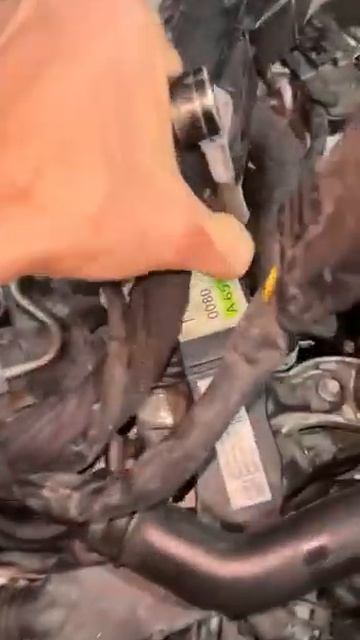 Везём 651955 двигатель от Mercedes #carvet #mercedes