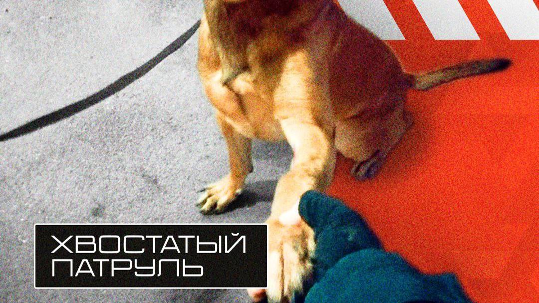 Нестандартный патруль