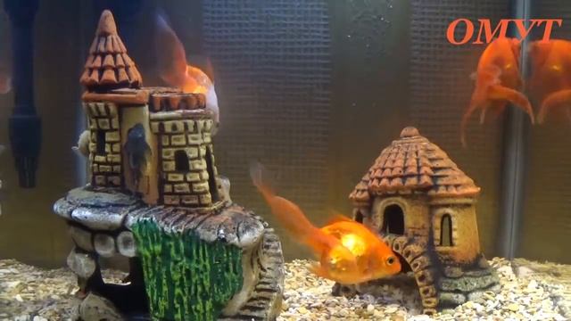 119.Обряд отмщения .(Молитва- заклятие)И Комменты -ДРУЗЬЯ!