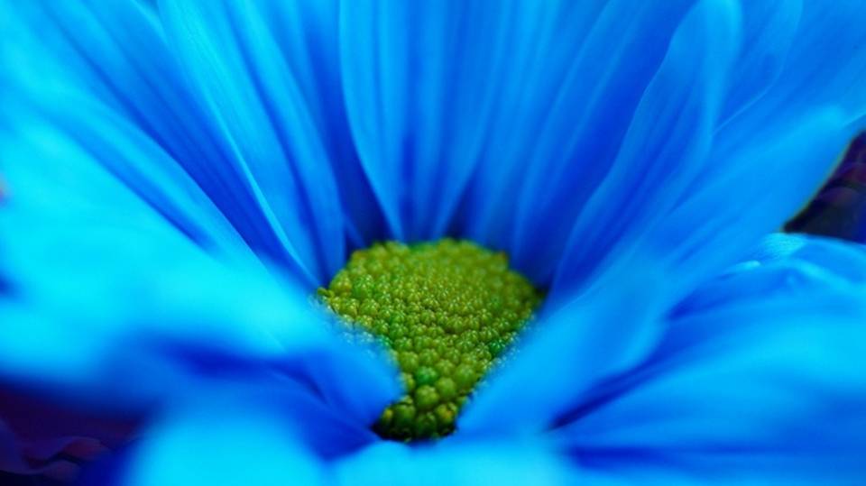 Часть 6(3) Рассказа сказки "Создай Красоту сам"Екатерины Арфеиной