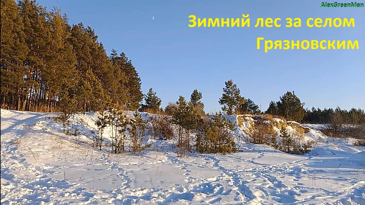 Зимний лес за селом Грязновским