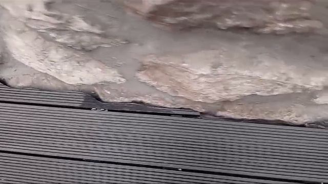 Монтаж декинга Good Cover в Агафоновке, вокруг бассейна в помещении с подогревом (ч3)