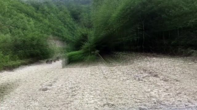 Поехали - Райский уголок