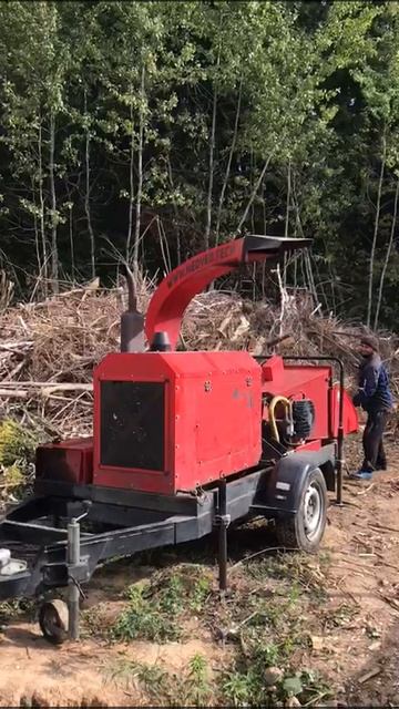 Измельчитель веток Медведь 250 | Аренда Станков