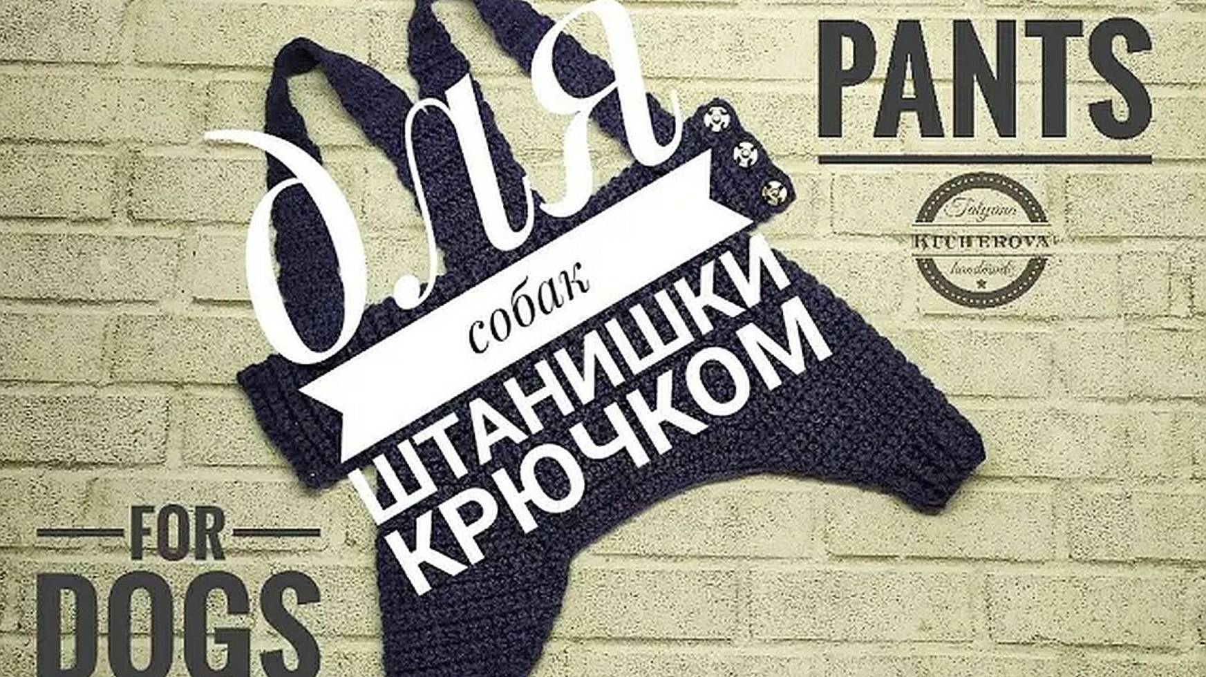 Штанишки для собак и кошек, вязание крючком