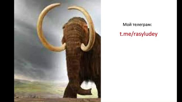 Европеоиды в Сибири до н.э. Новая версия их появления.