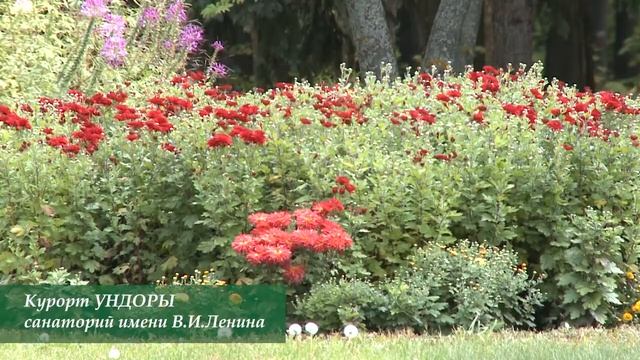 Ундоровская осень. Санатории имени В. И. Ленина
