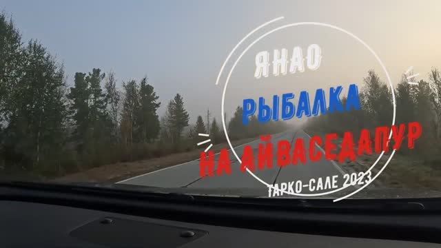Рыбалка, ЯНАО, Тарко-Сале, река Айваседапур  сентябрь 2023