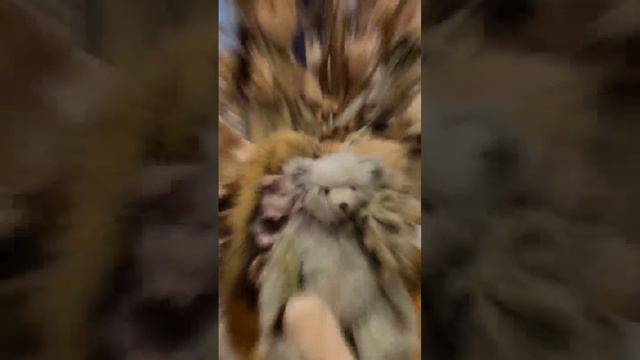 Заячье Королевство принимает гостей🐰