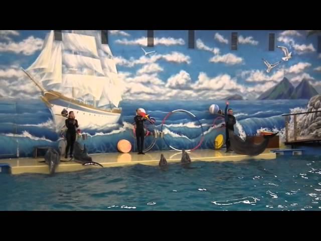 Нижегородский дельфинарий_DSCF2557
