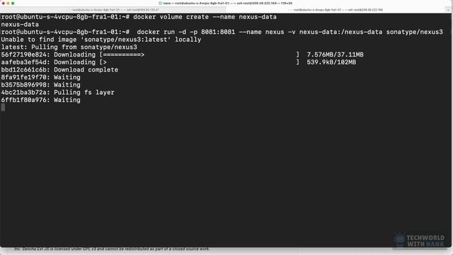 7.16 Deploy Nexus as Docker Container