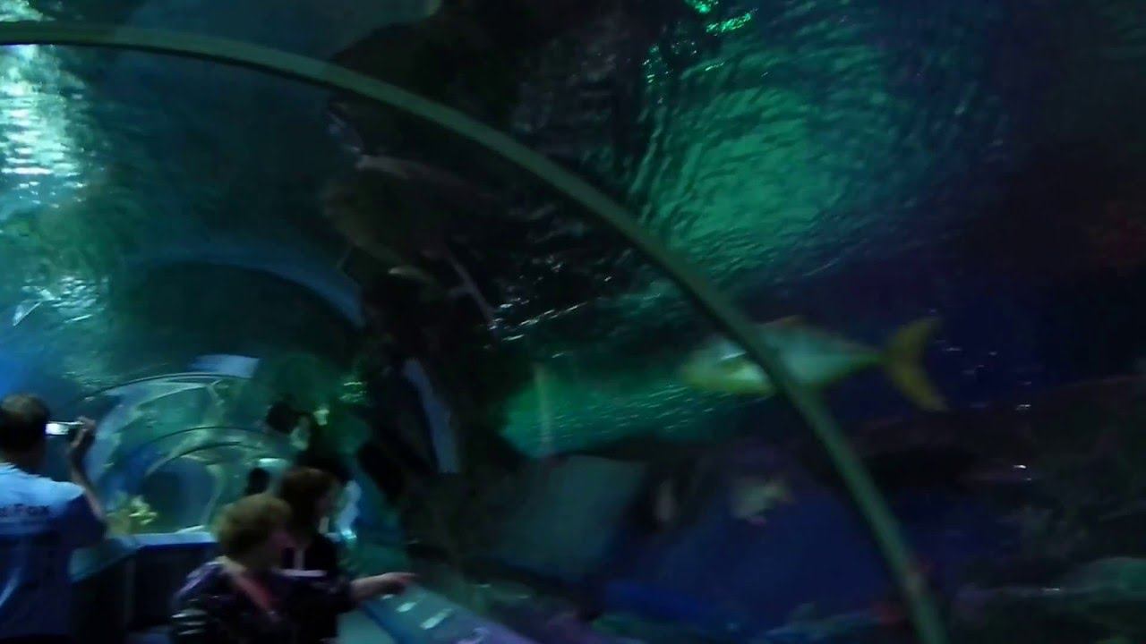 питер 2015_осень_DSCF2273