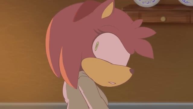 Соник и его жена