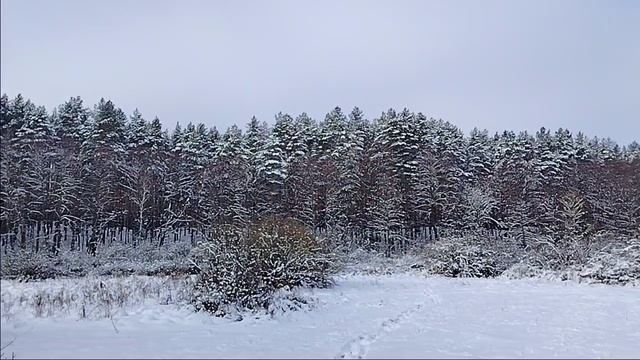 ❤️❤️💘💕 САКСОФОН ,Зимняя сказка❤️❤️💕💘 Красавец февраль Энцо Лупо и его золотой саксофон 🎷