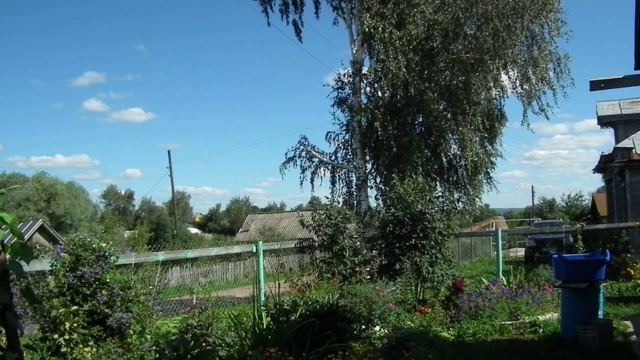 лазазей 2016_лето_DSCF2001