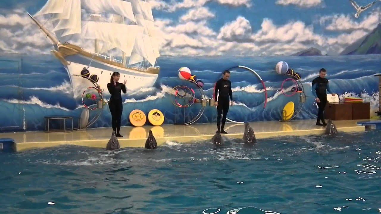 Нижегородский дельфинарий_DSCF2554