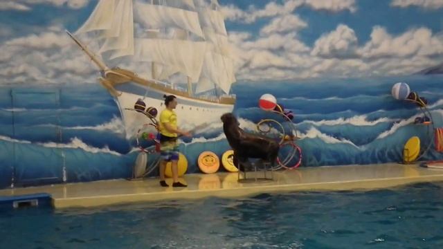 Нижегородский дельфинарий_DSCF2548