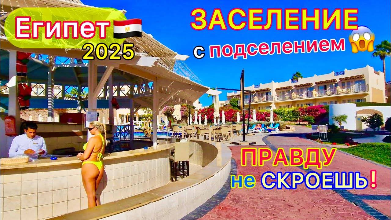 Египет 2025 ВАЖНО! ЗАСЕЛЕНИЕ в отель Concorde El Salam 5* Шарм эль Шейх. Площадь СОХО, цены - ШОК!