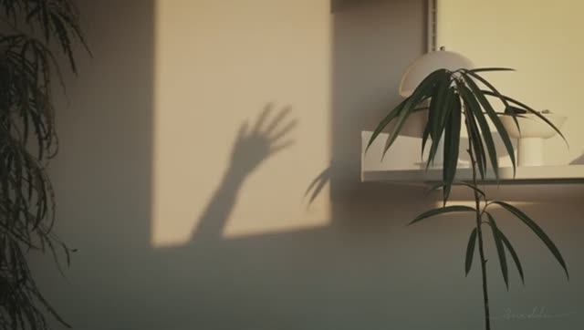 Sueddu. Работа в растительном магазине