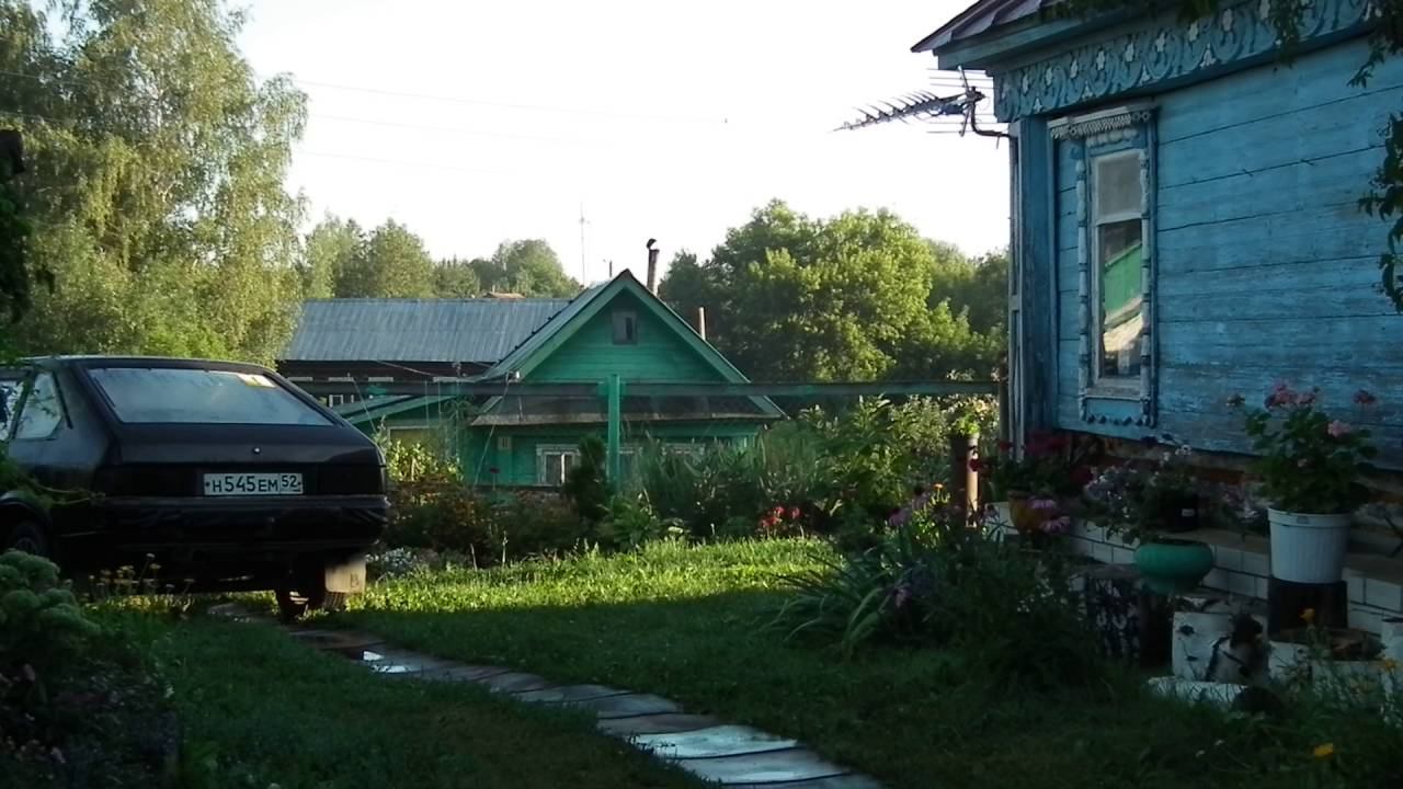 лазазей 2016_лето_DSCF2280