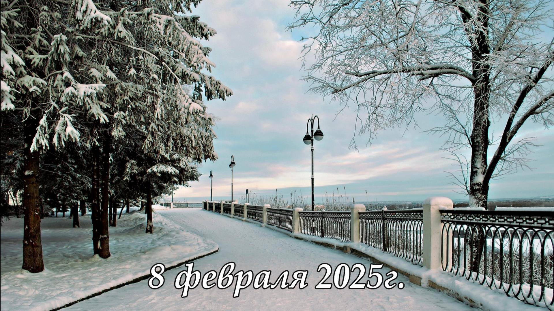 Погода в Самаре - 8 февраля 2025г.
