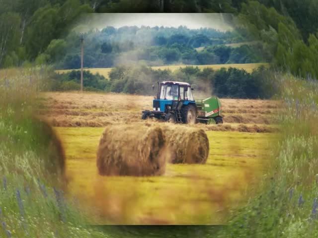 Троицкие поля 1