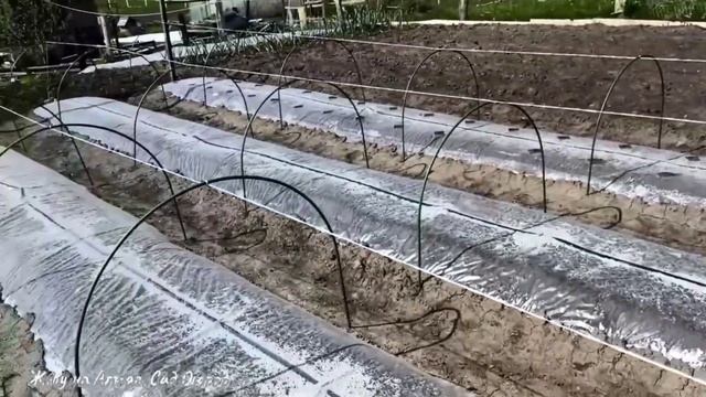 Ноу-хау для огорода, как же я без него обходилась раньше