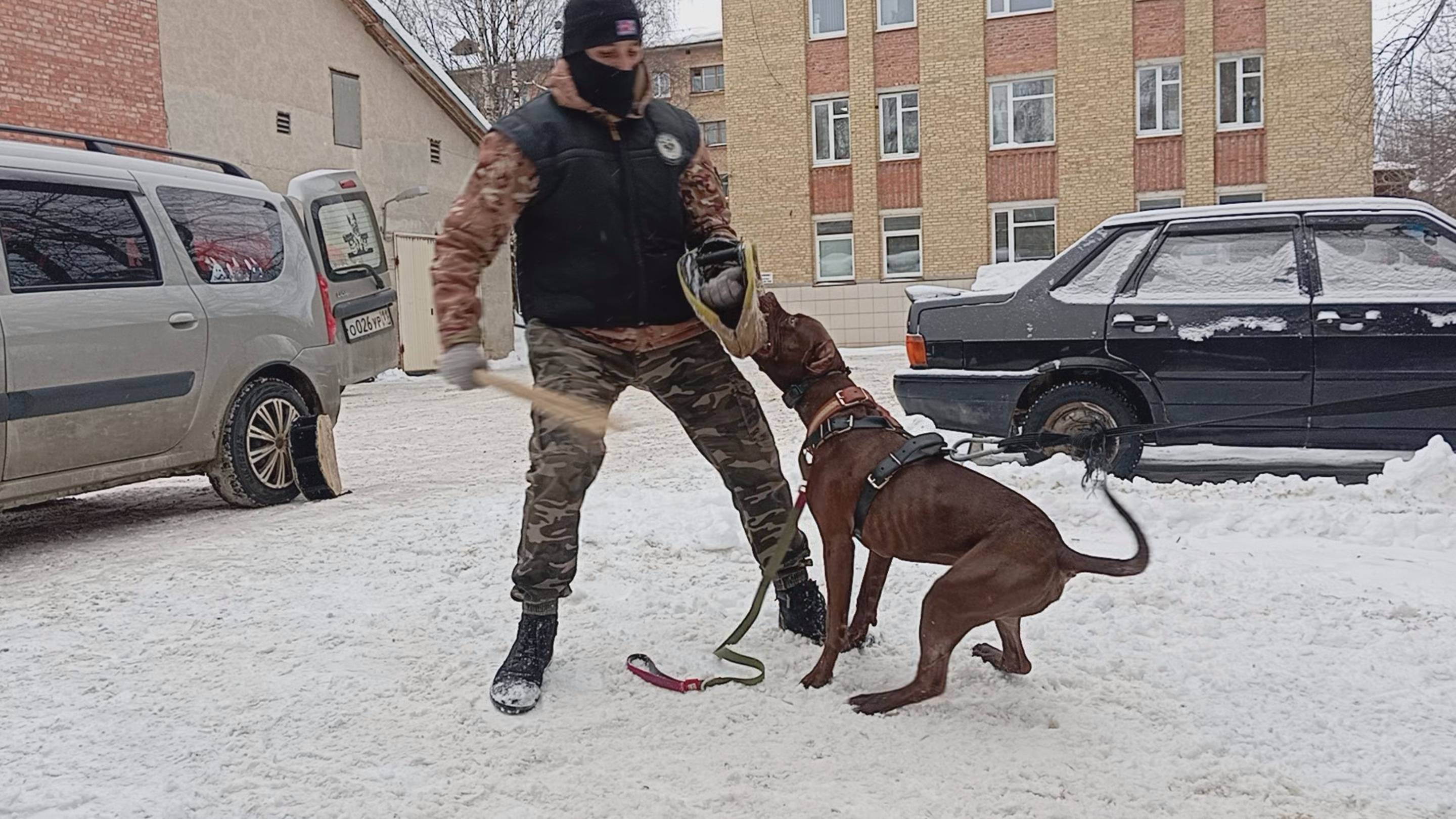 Защитно-караульная служба