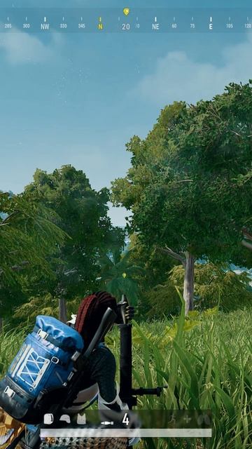 Без пристрелки