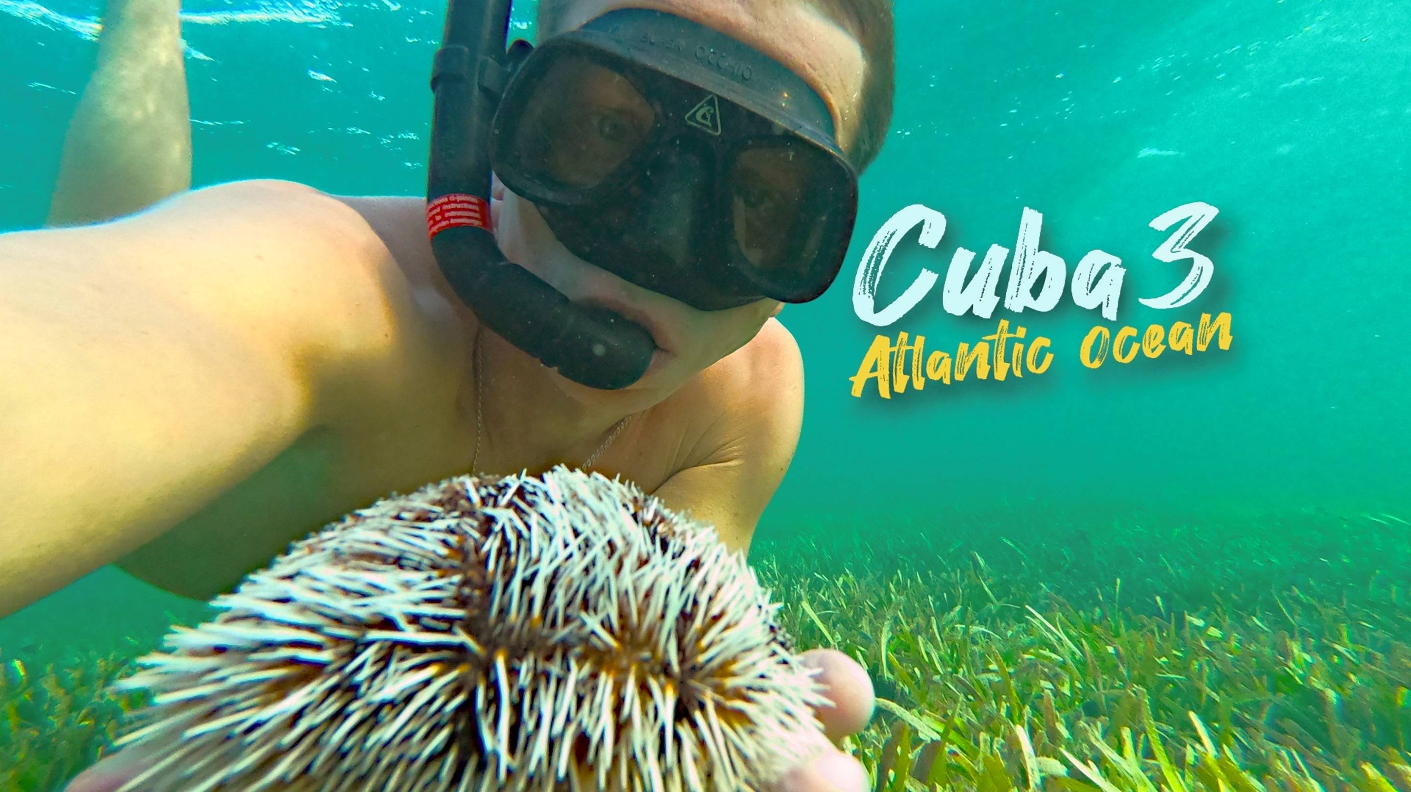 Куба. Атлантический океан. Подводный мир.
