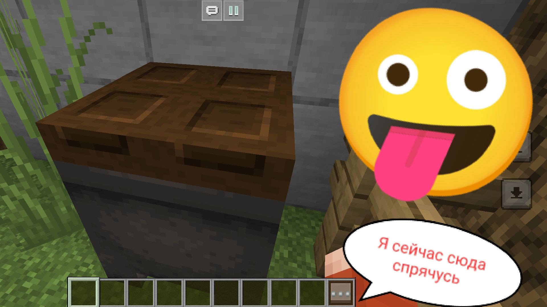 Это самое лучшее место для пряток в Майнкрафт