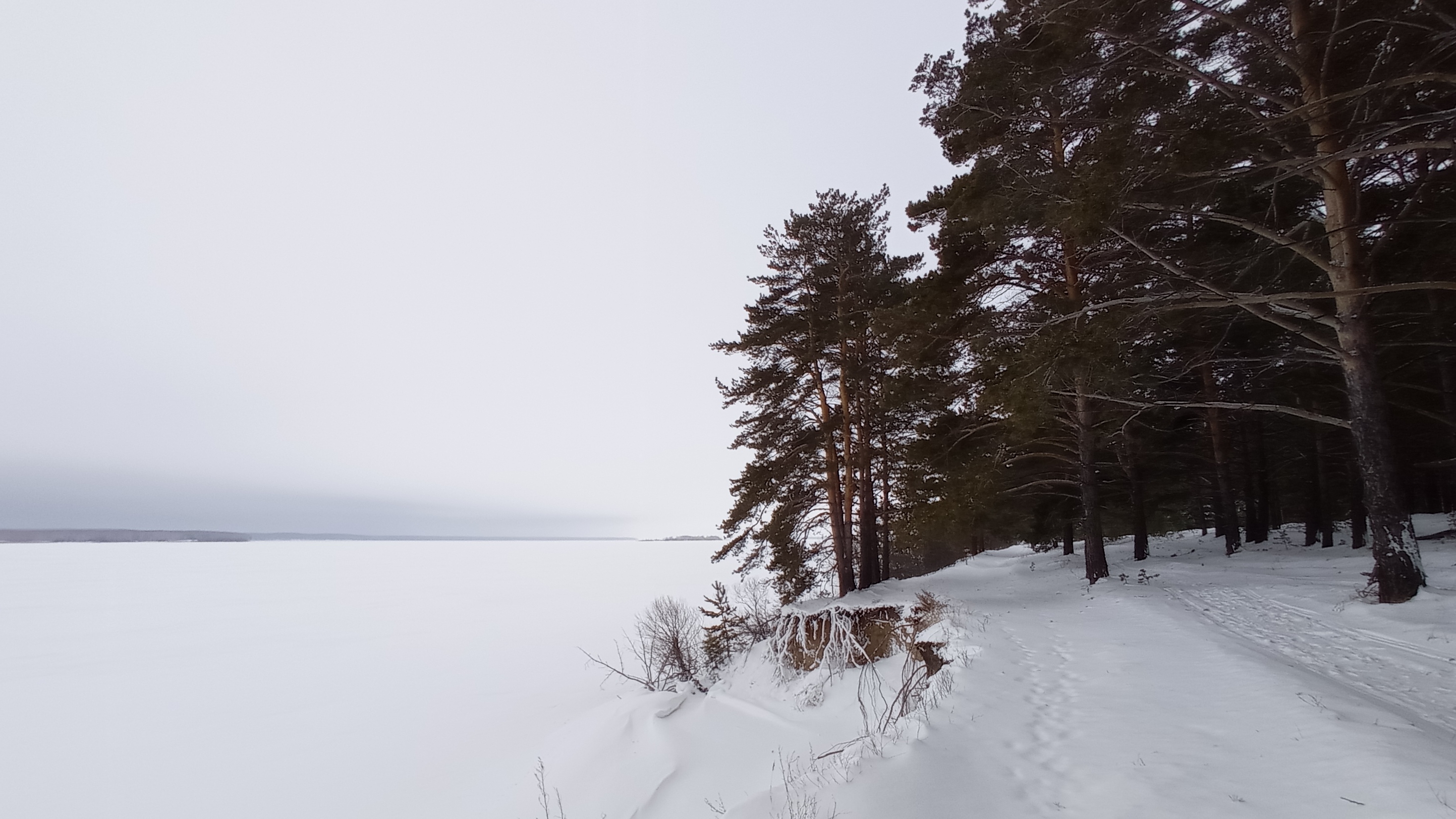 Прогулка по берегу Обского моря. Январь 2025 год.